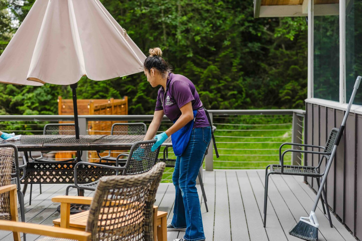 Deep/Spring Cleaning - Adrianne's Housekeeping